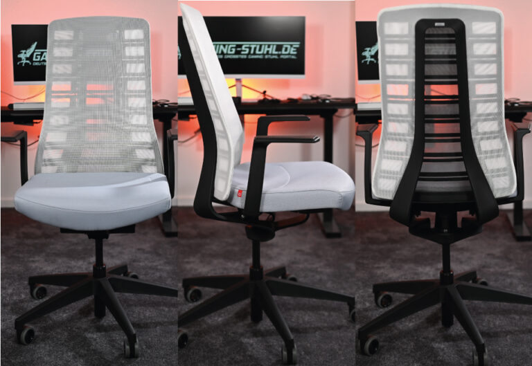 Interstuhl PURE Active Test - Ergonomisch und den Preis wert?